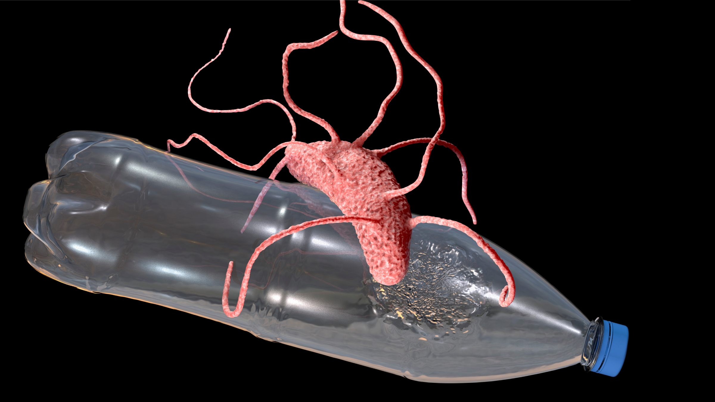 Plastic-eating bacteria - Inside Telecom