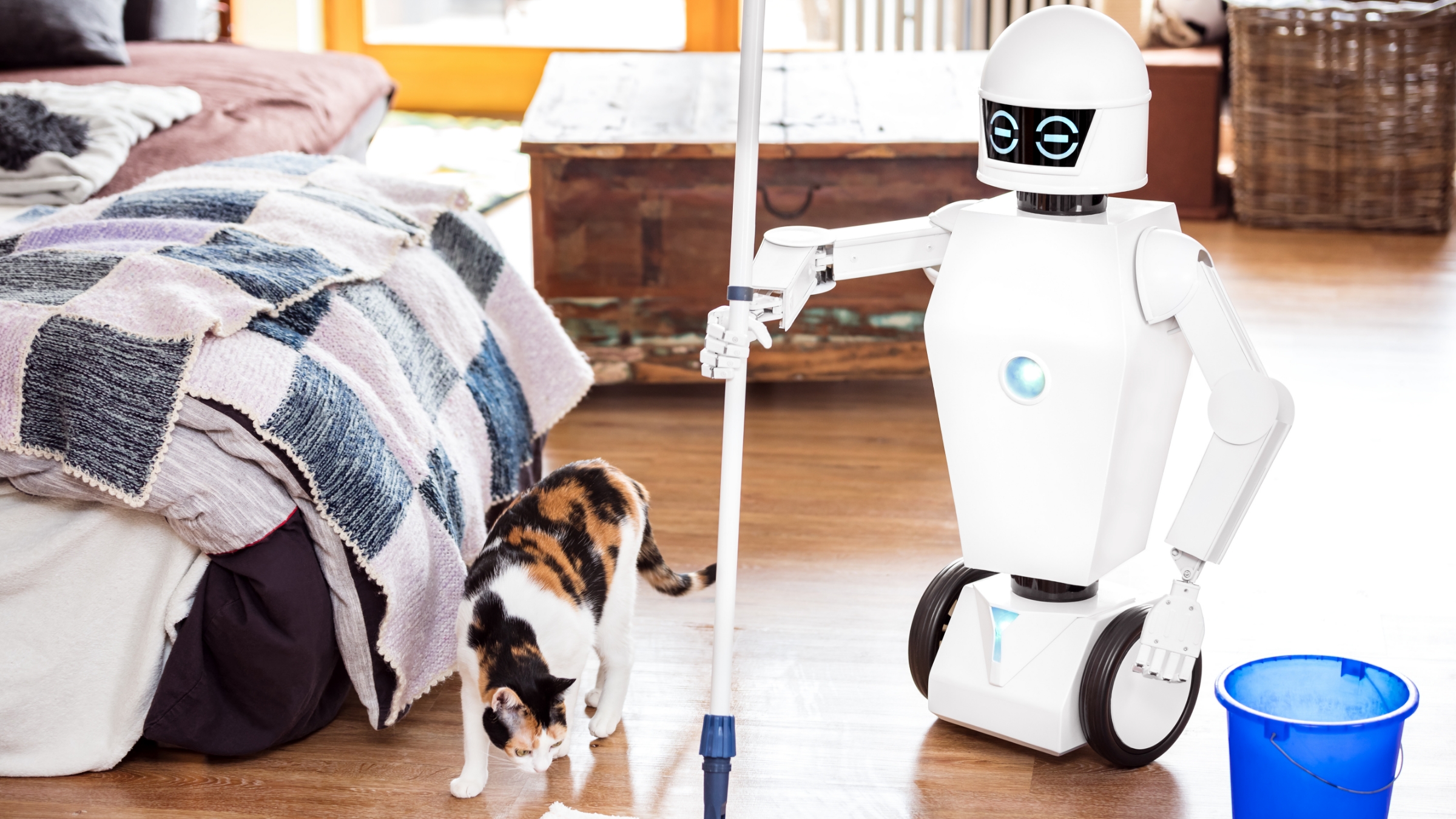 Cat Royale Take Care of Your Cat - Inside Telecom